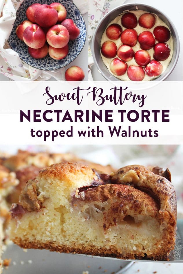 Sweet Buttery Nectarine Torte Topped with Walnuts | Foodelicacy