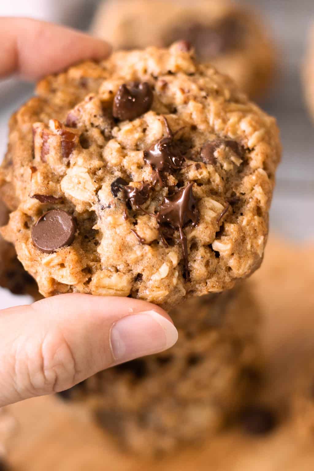 Soft & Chewy Oatmeal Chocolate Chip Cookies | Foodelicacy