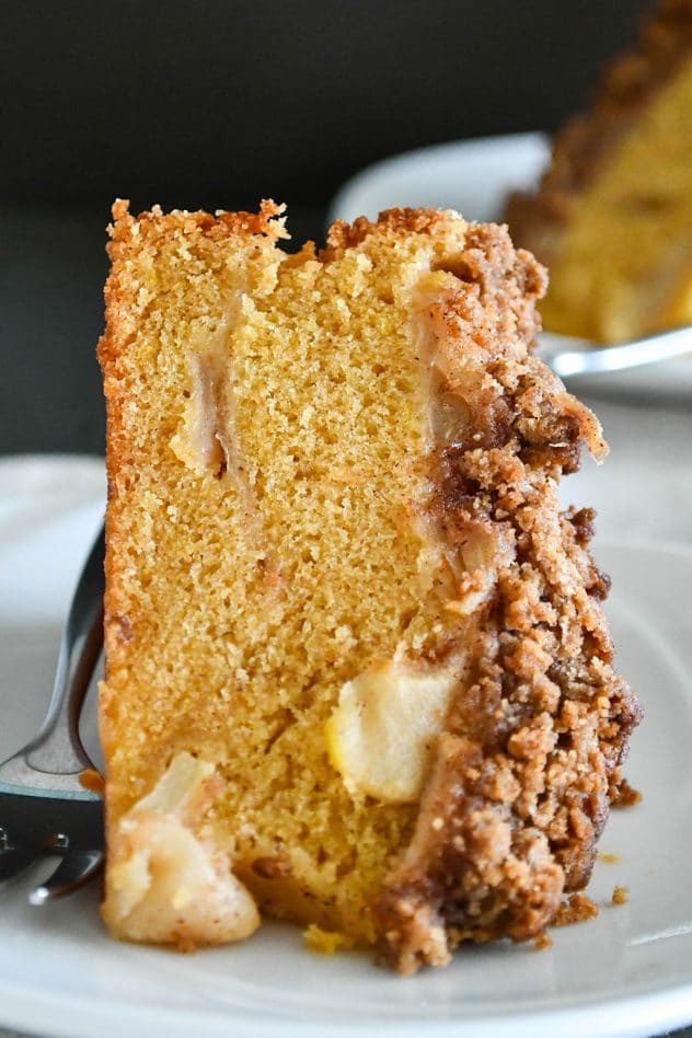 Apple Cake with Brown Sugar Cinnamon Streusel Topping | Foodelicacy