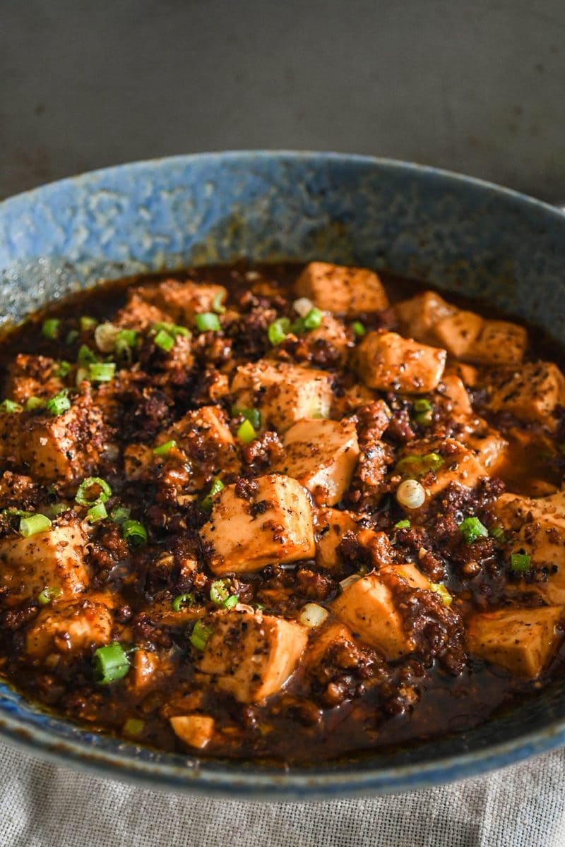 Easy Mapo Tofu Recipe {30 Minutes or Less} | Foodelicacy