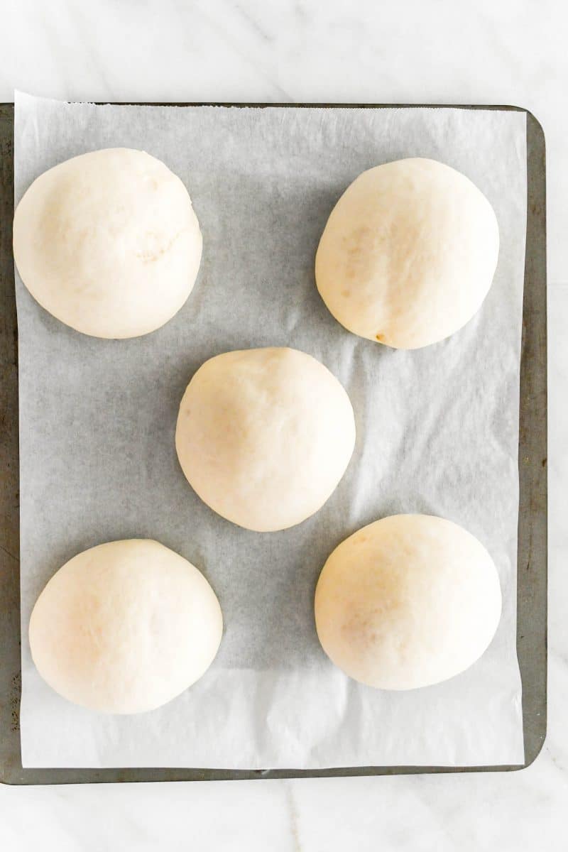 Light Brioche Burger Buns - Perfect for Every Burger Meal | Foodelicacy