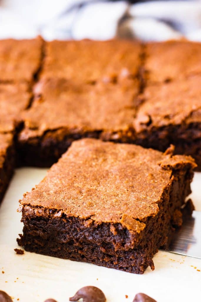 Moist and Fudgy Cocoa Brownies - Foodelicacy