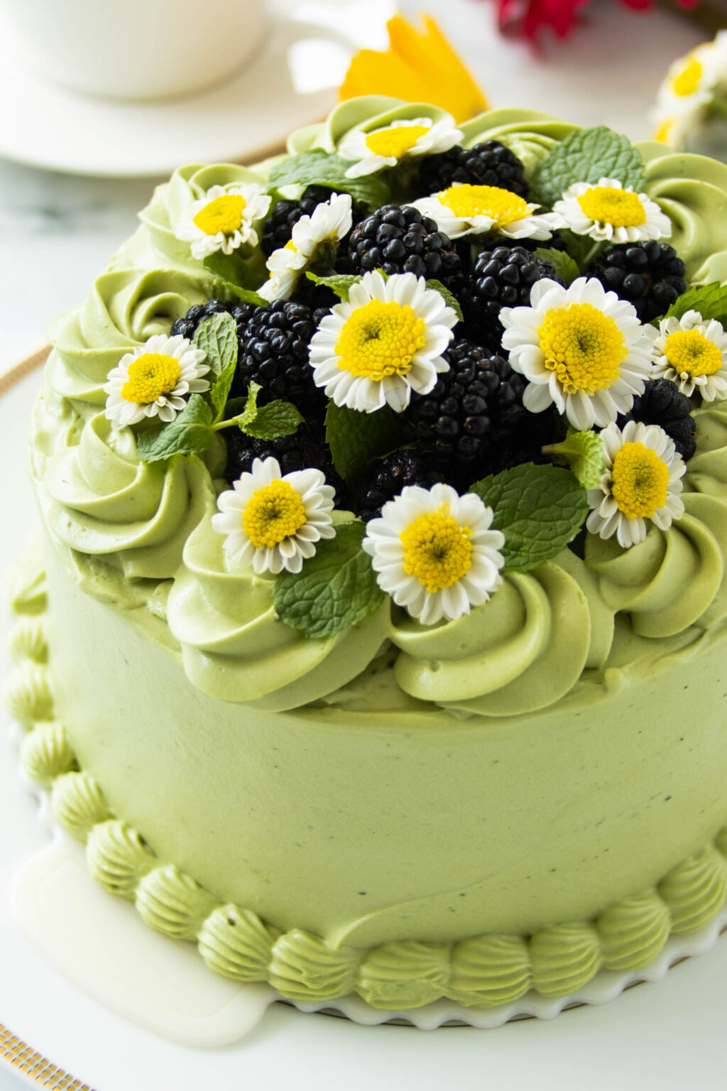 Matcha Red Bean Cake | Foodelicacy