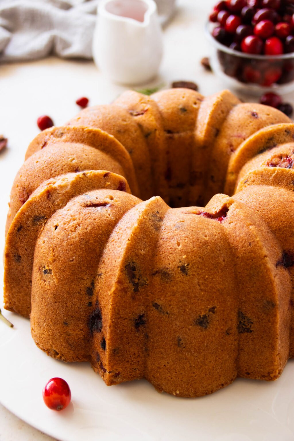 Fresh Cranberry Bundt Cake | Foodelicacy