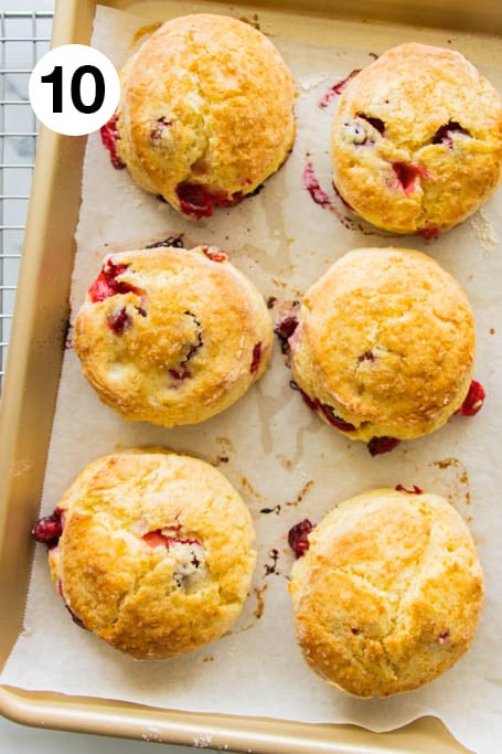 Easy Cranberry Yogurt Scones {Fail Proof Recipe!} | Foodelicacy